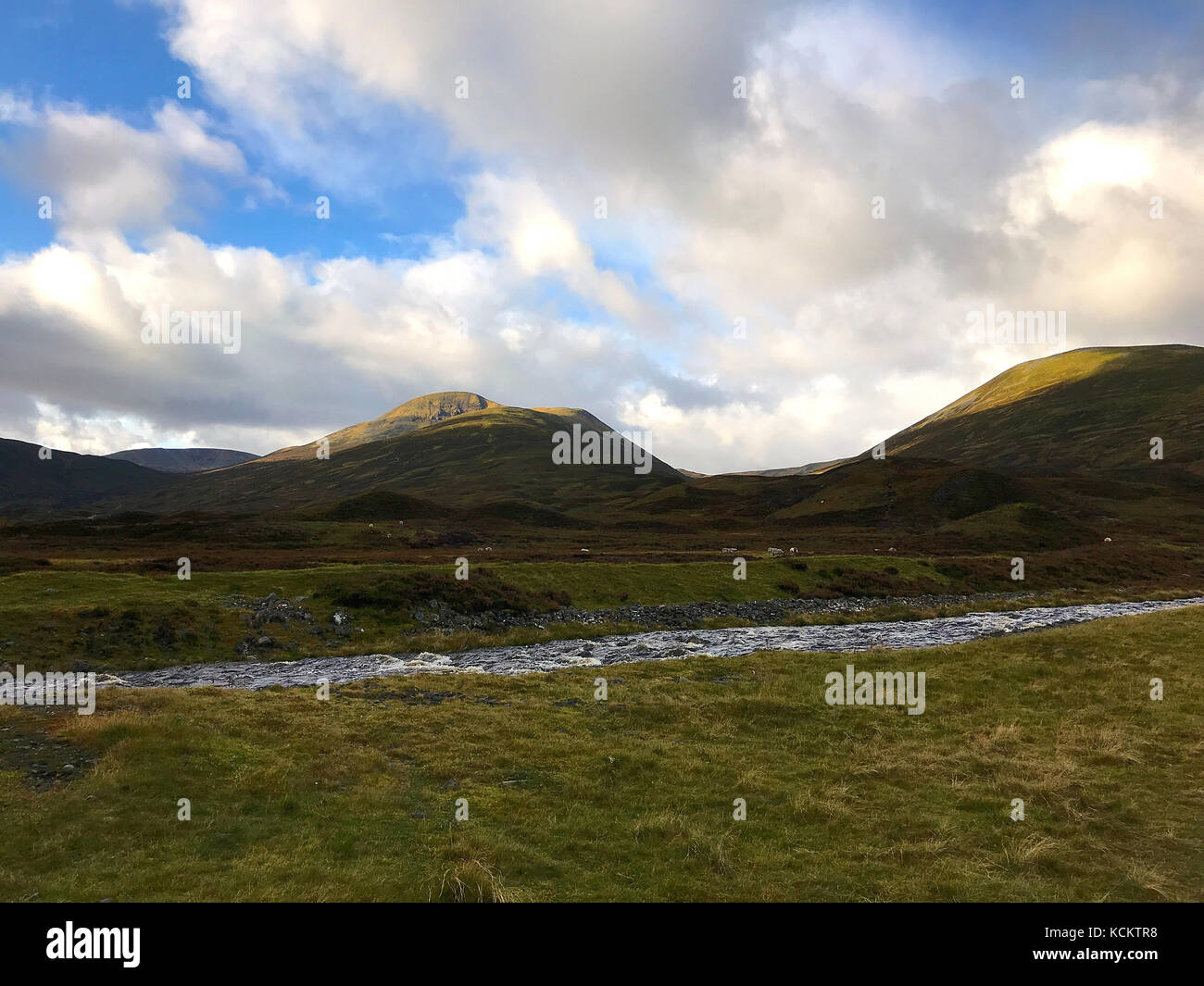 Wild Scottish valley in the Cairngorms with a stream in the foreground ...