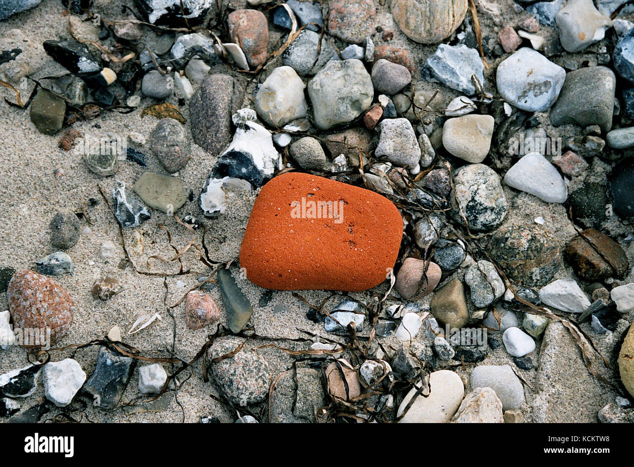 stones at the beach Stock Photo - Alamy
