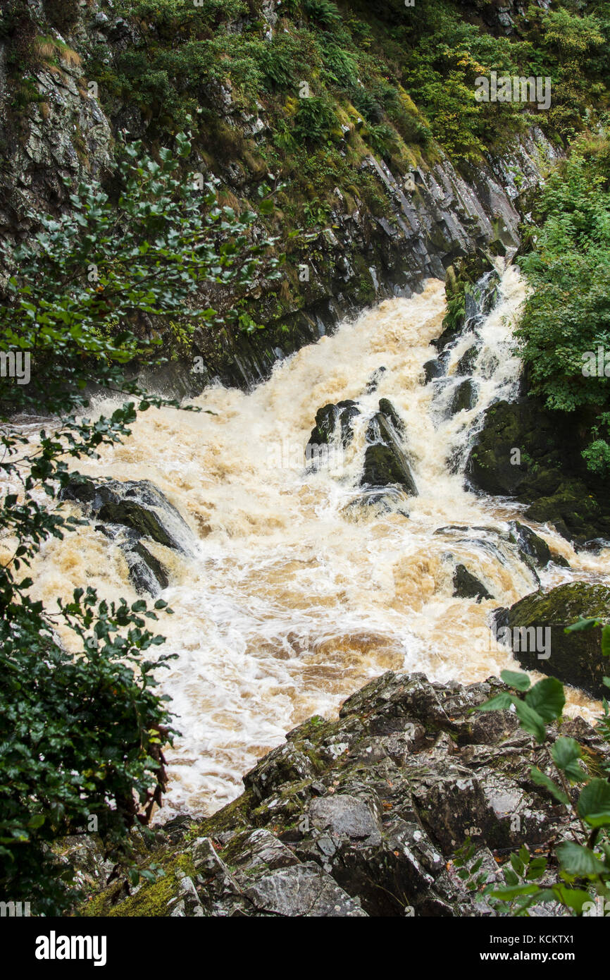 Afon Conwy in spate flowing over Conwy Falls near Betws y Coed. Conway ...