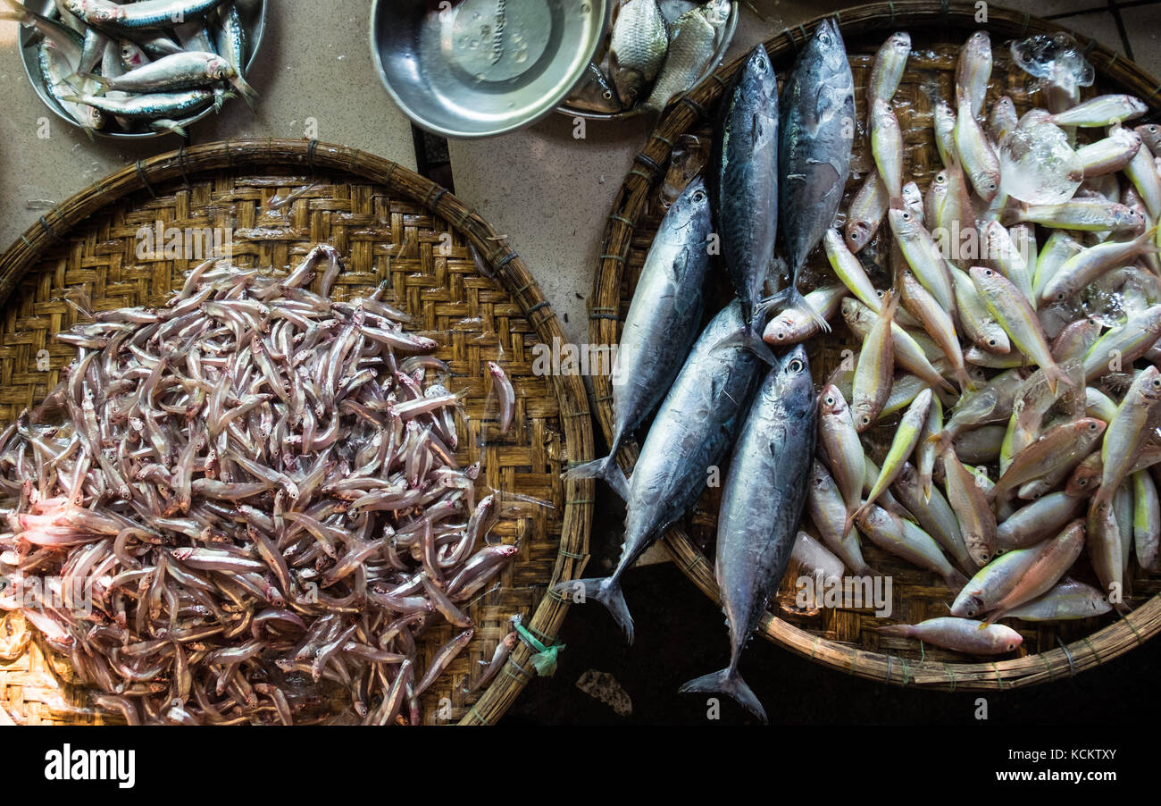 Fresh fish displayed on bamboo plates in Dong Bar Market, Hue Stock ...