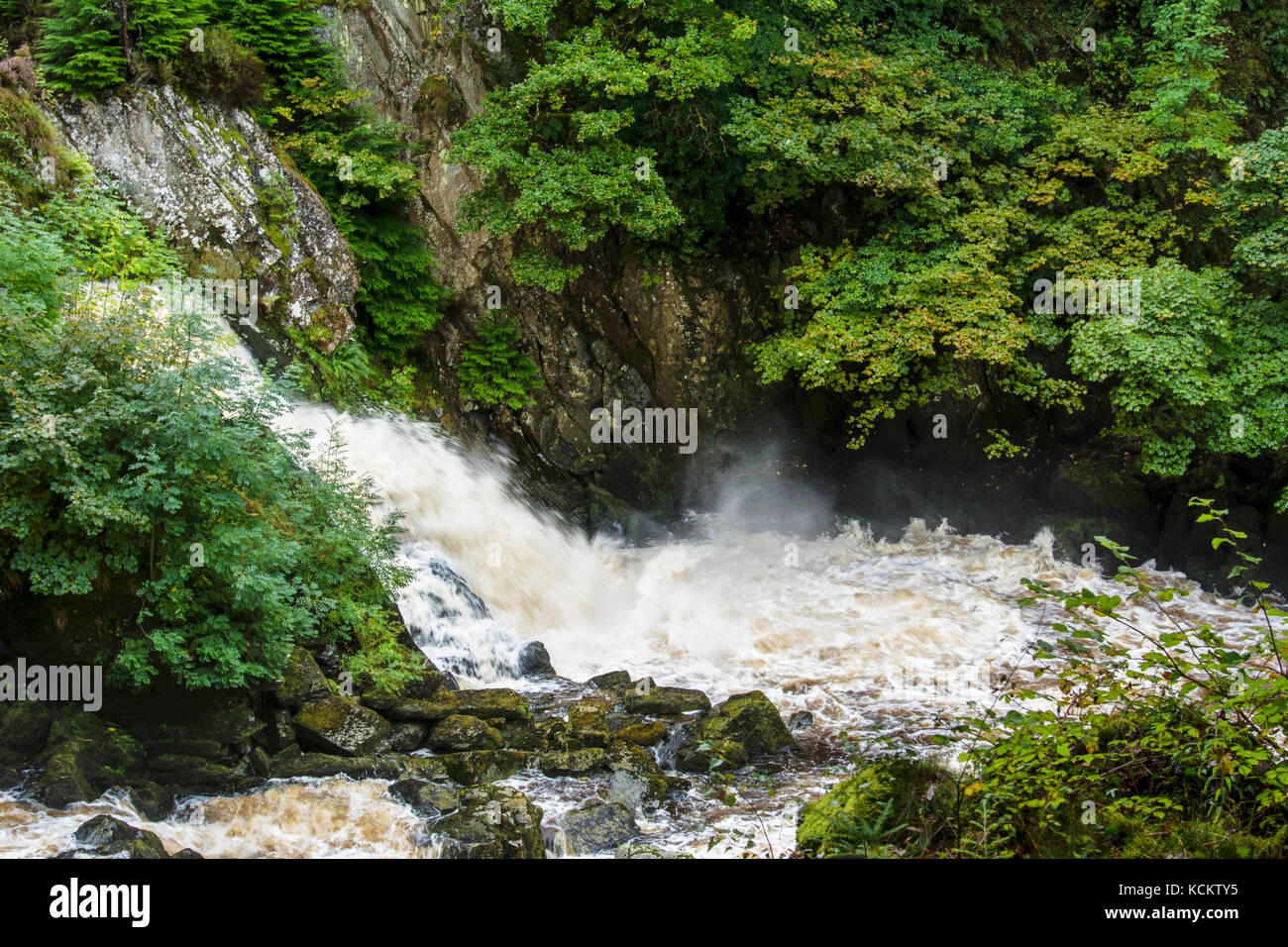 Afon Conwy in spate flowing over Conwy Falls near Betws y Coed. Conway ...