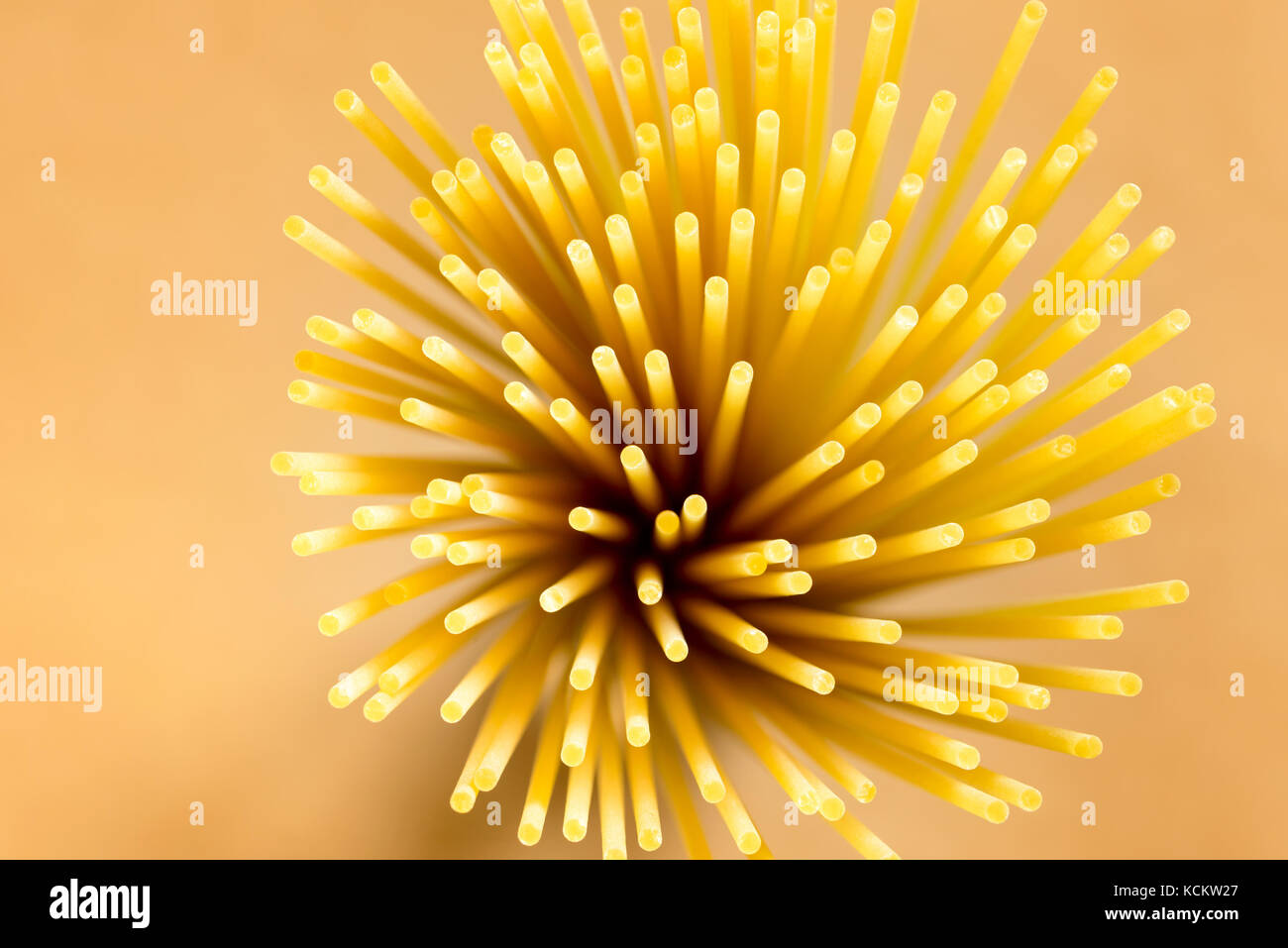 Flower of Italian spaghetti extruded through bronze, seen from the top ...