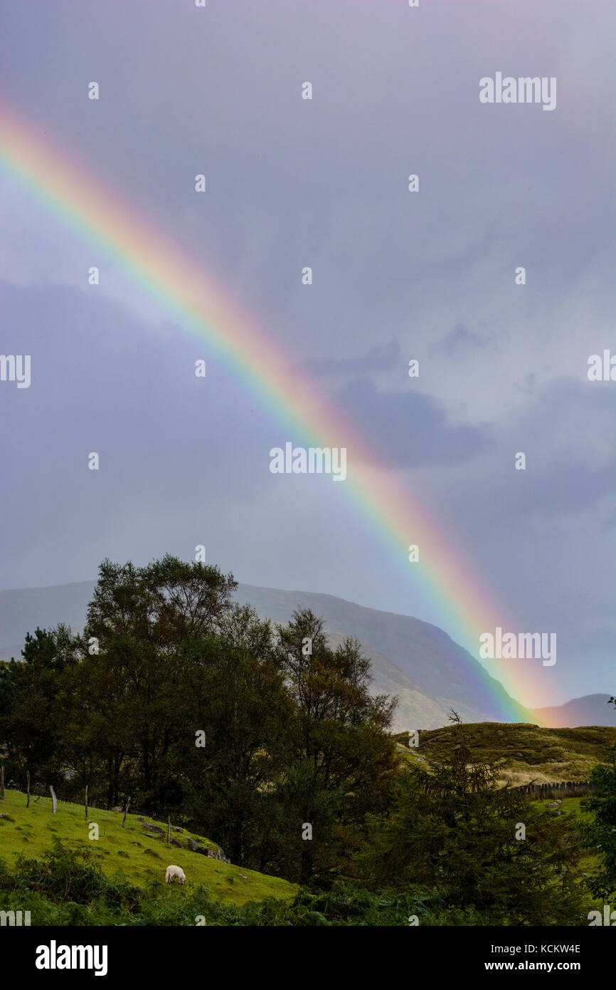 Parc stormy hi-res stock photography and images - Alamy