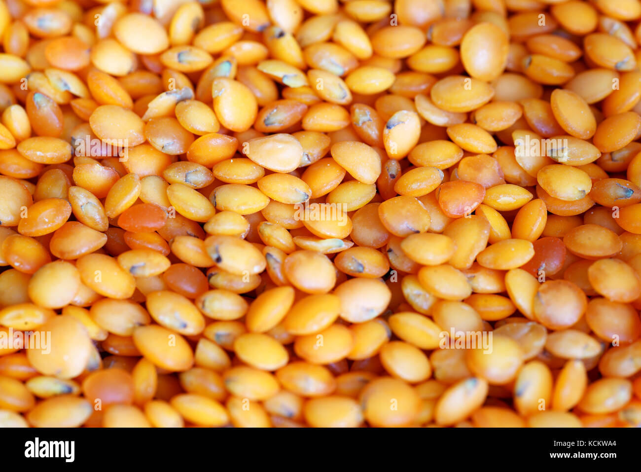 Vegetarian food in the glass for cooking, seasoning and refining Stock ...