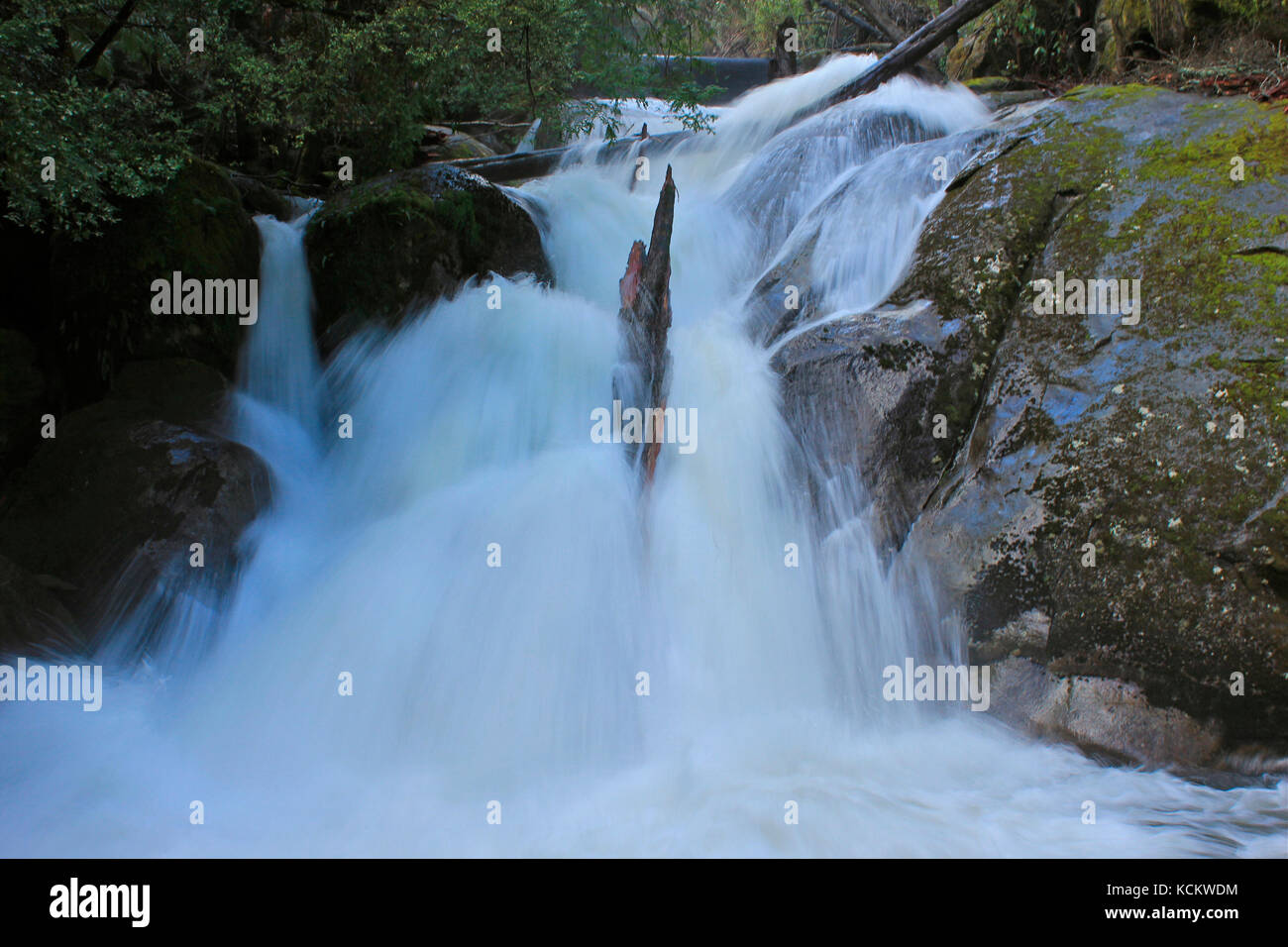 Taggerty Cascades, on the Taggerty River running through a small pocket ...