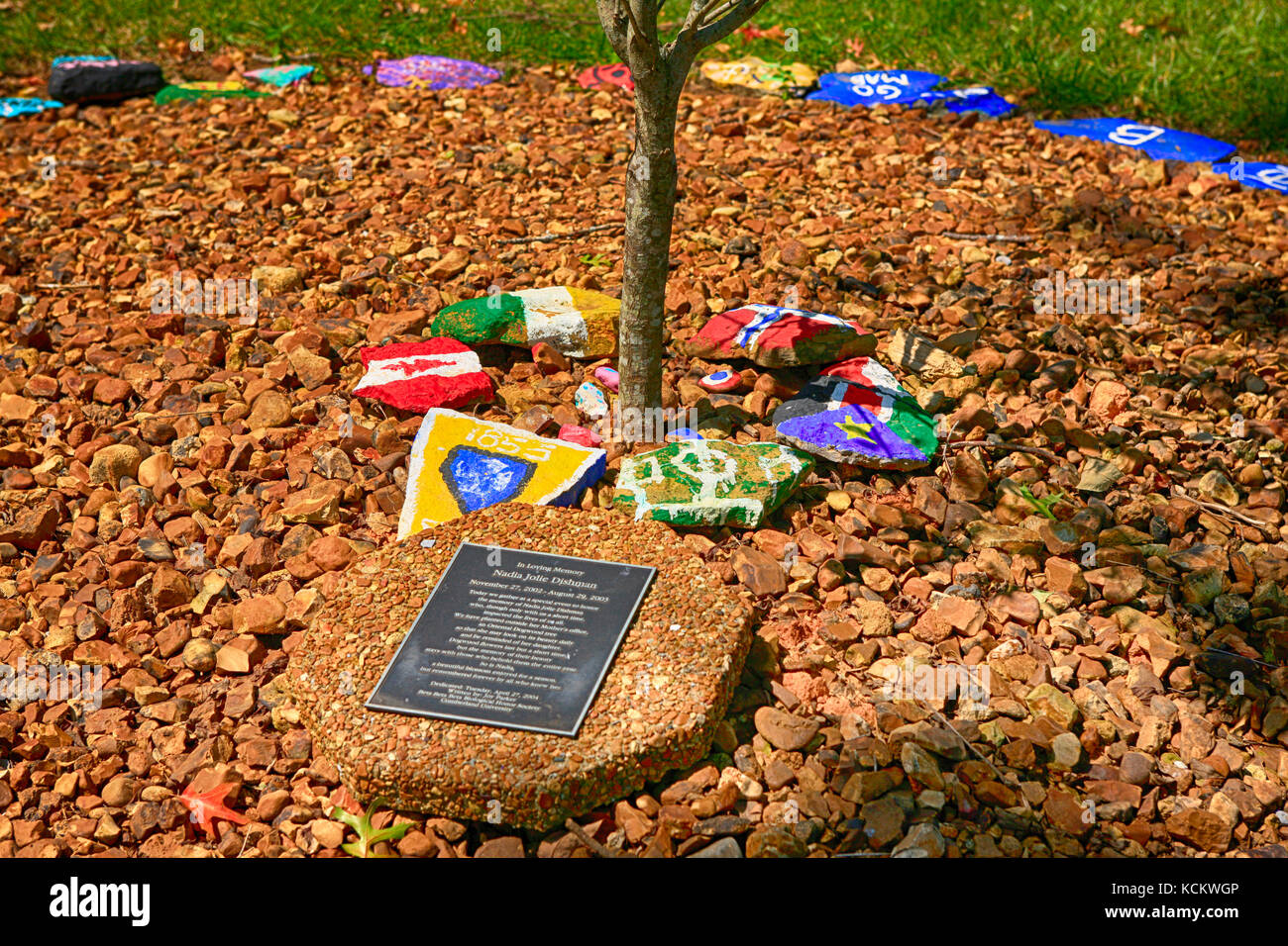 Painted fraternity stones around a memorial tree at Cumberland ...