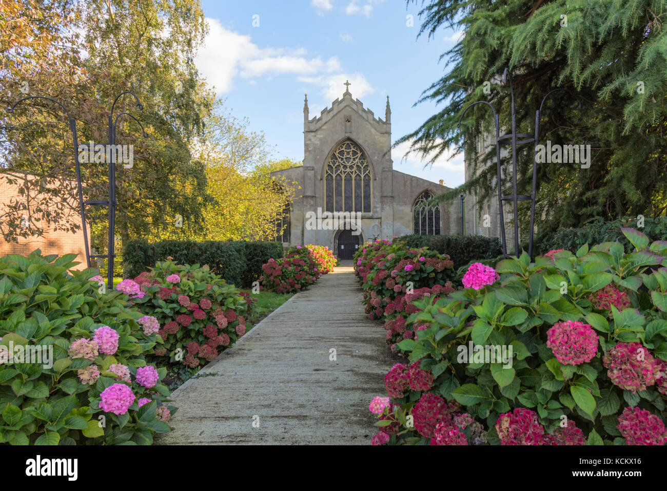 St. Mary's Church Long Sutton flowers and view looking towards the ...