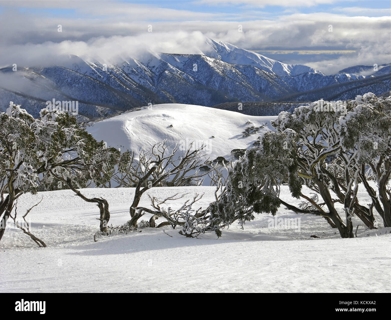 View from Mount Hotham towards Mount Feathertop, in winter ...