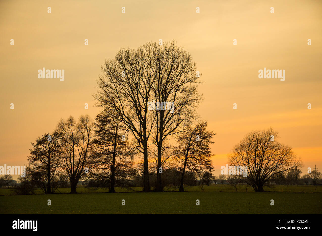 field during sunset Stock Photo - Alamy