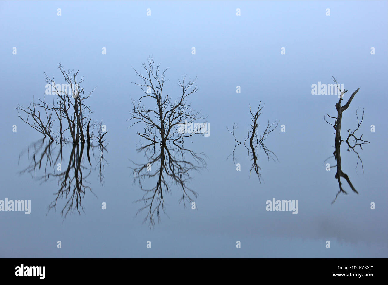 Rowallan hi-res stock photography and images - Alamy
