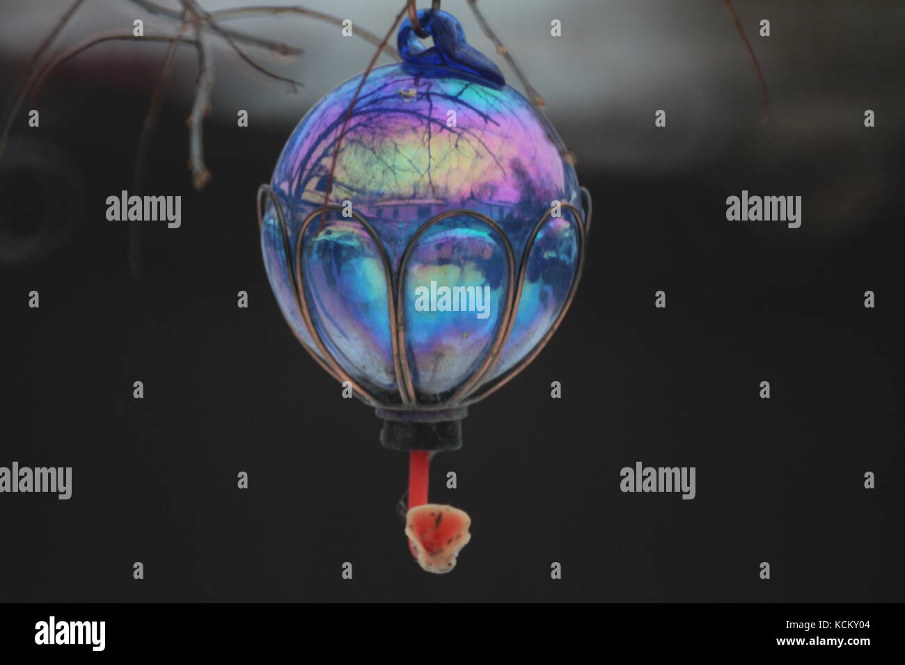 Refection garden hi-res stock photography and images - Alamy