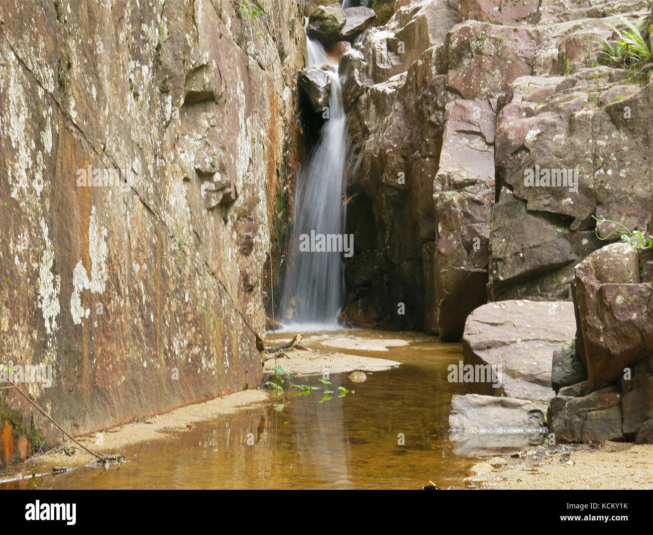 A waterfall and rivulet on one of the Blue Derby mountain biking trails ...