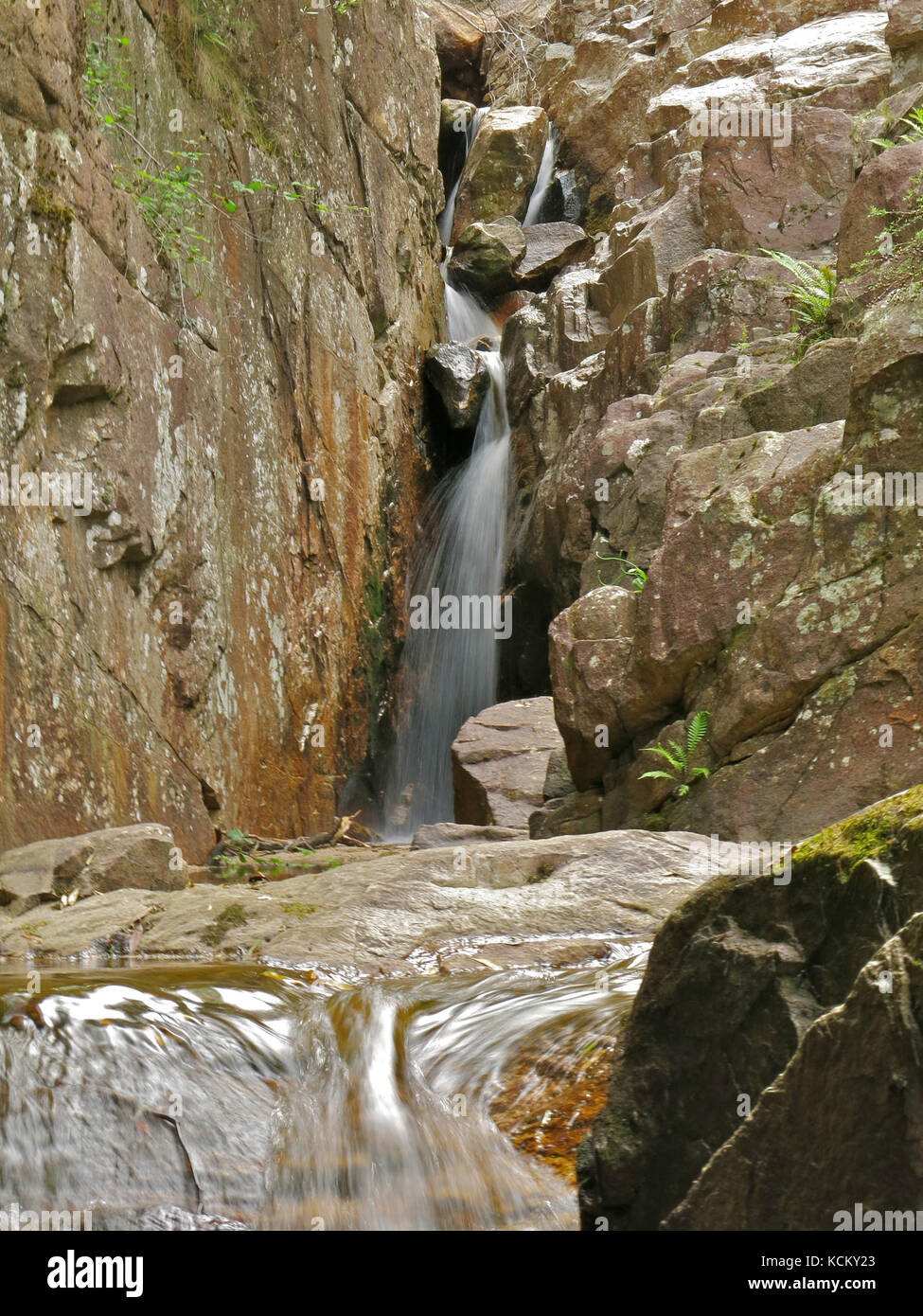 A waterfall and rivulet on one of the Blue Derby mountain biking trails ...