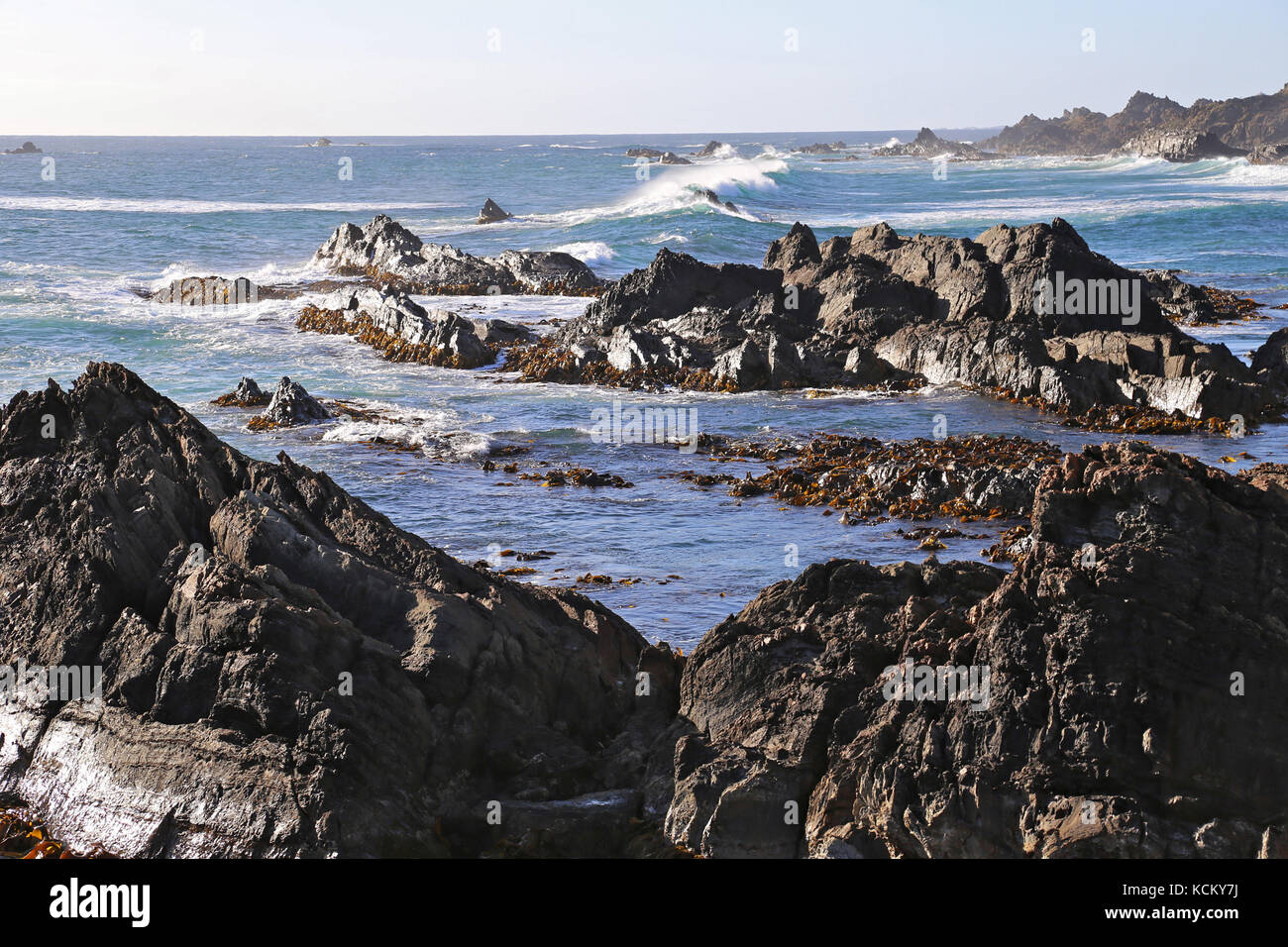 Northwest coast of tasmania hi-res stock photography and images - Alamy