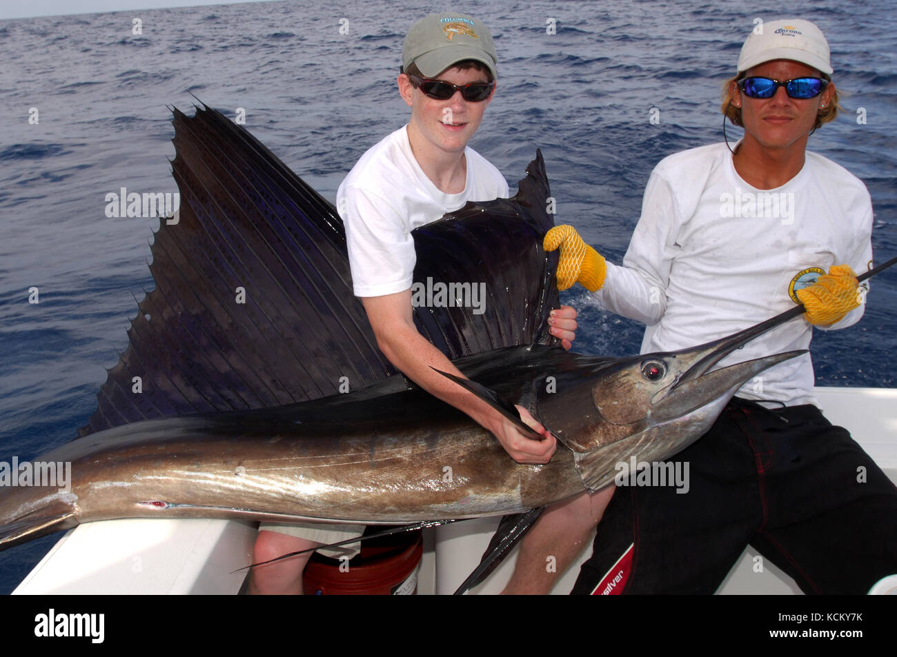 A fisherman holds a sailfish caught while deep sea fishing near Los ...