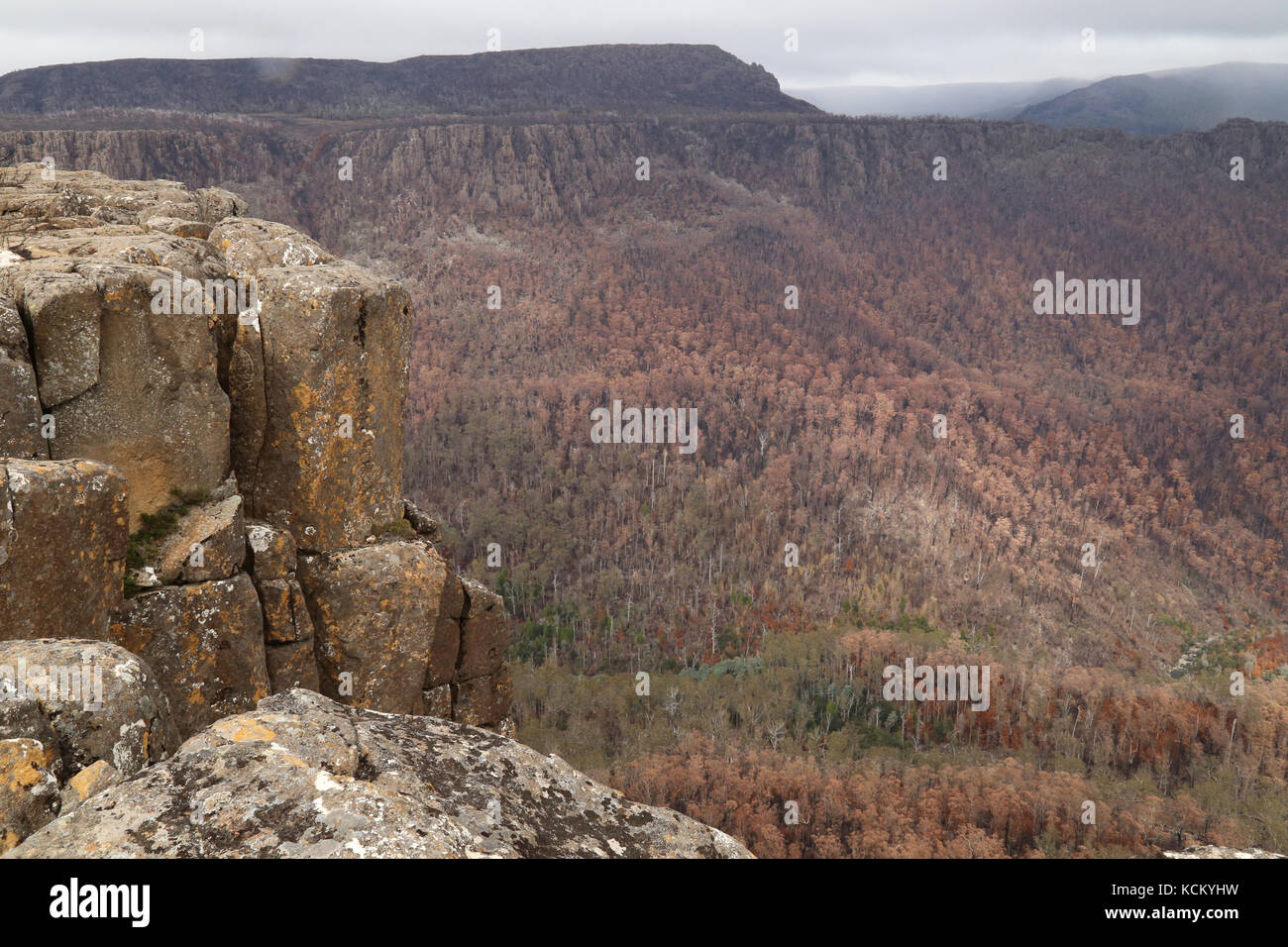 Extensive damage in the Fisher River valley below Devils Gullet from ...