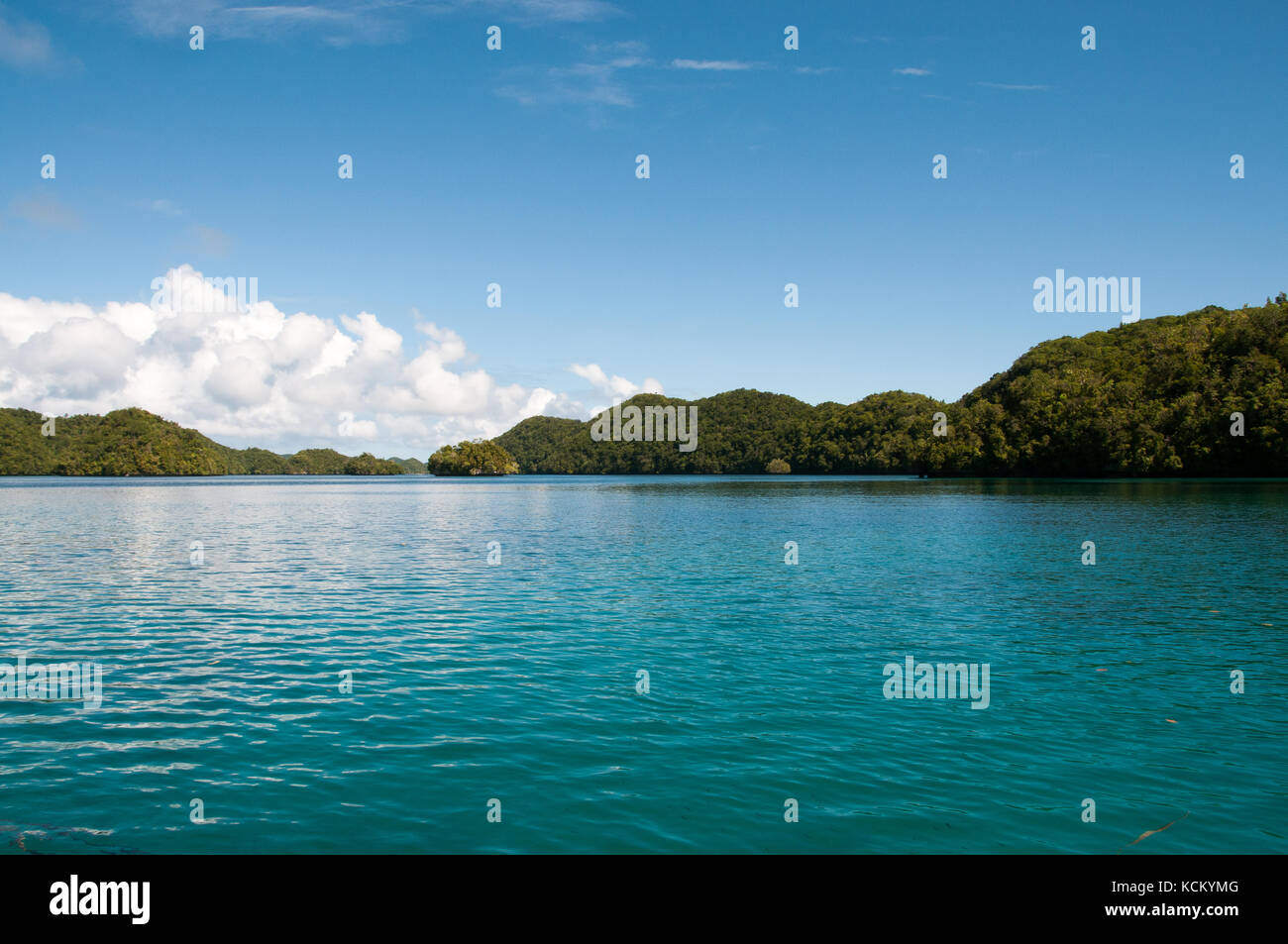Palau lake hi-res stock photography and images - Alamy