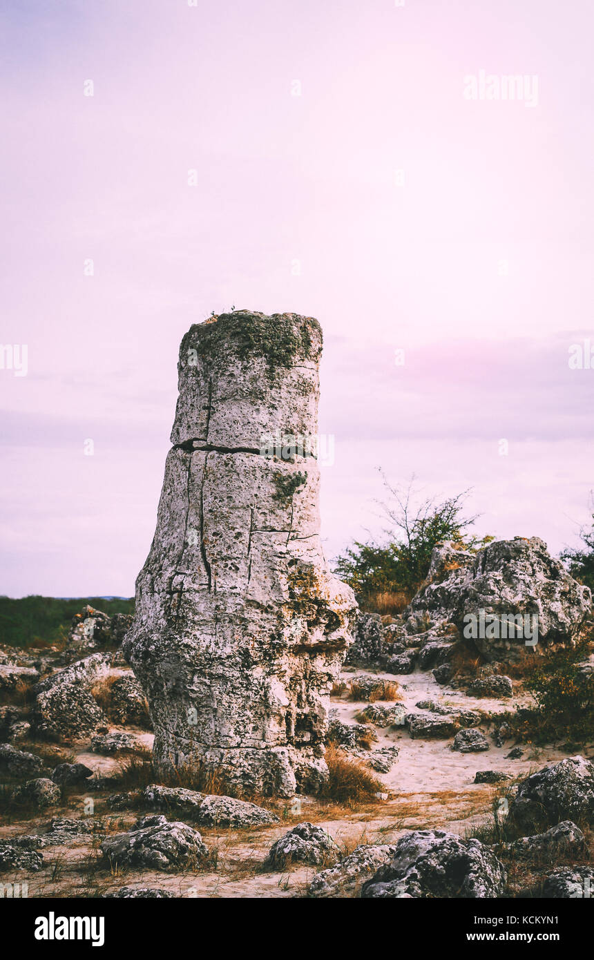 The mysterious Stone Forest Stock Photo - Alamy