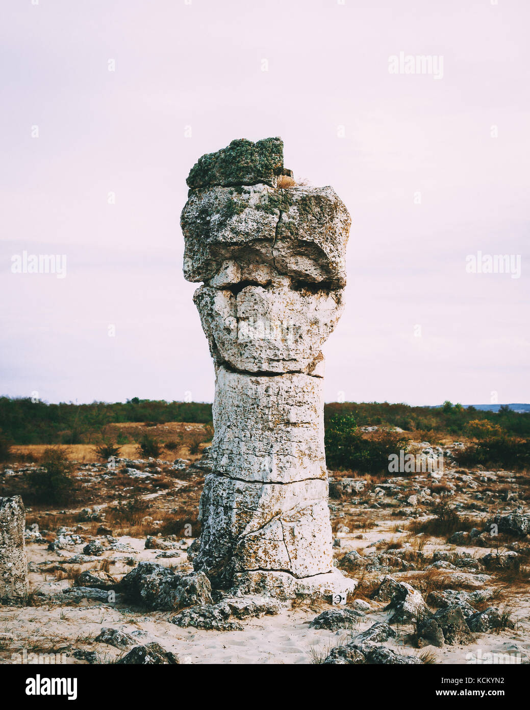 Stoneforest hi-res stock photography and images - Alamy
