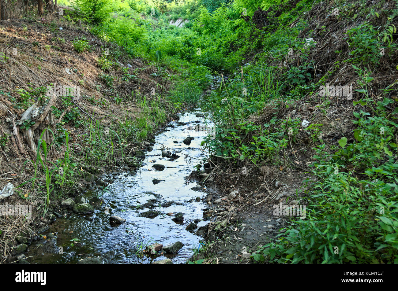 Small mountain water stream, flowing through woods Stock Photo - Alamy
