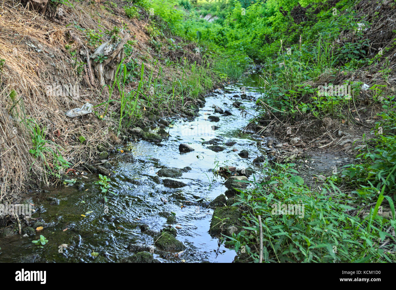 Small mountain water stream, flowing through woods Stock Photo - Alamy