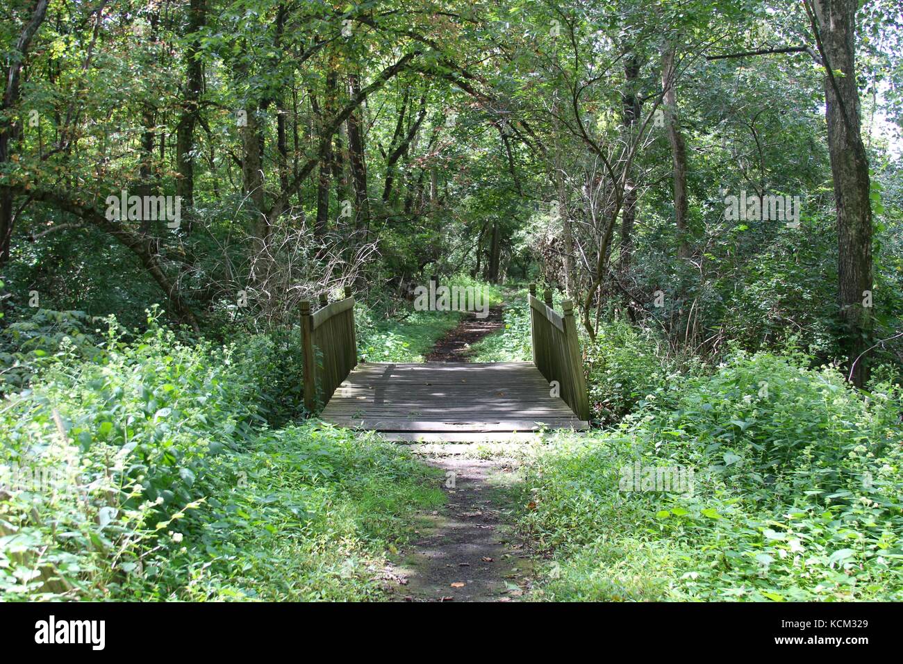 The beautiful landscapes and the beauty of nature in the parks in ...