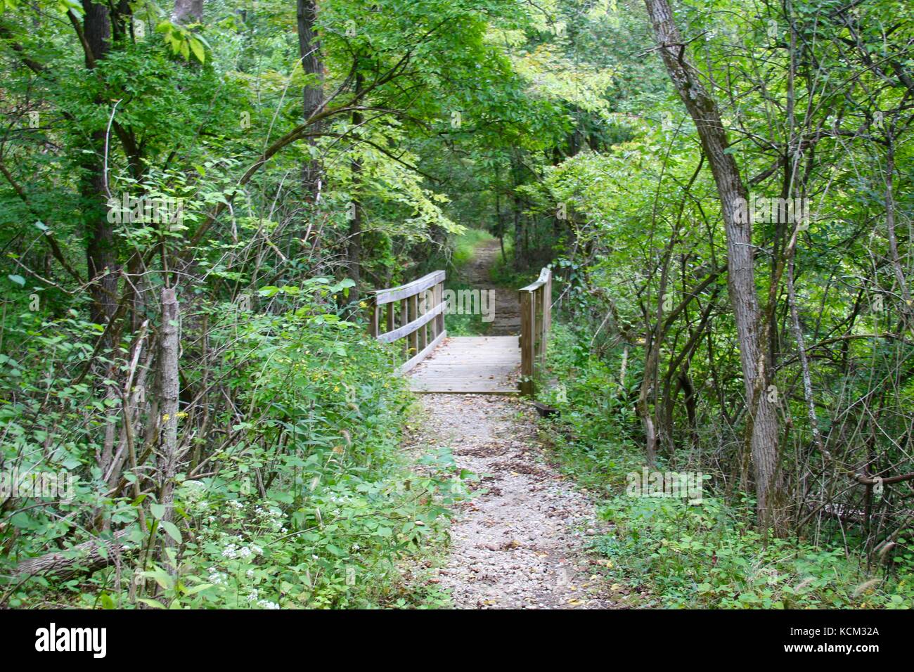 The beautiful landscapes and the beauty of nature in the parks in ...