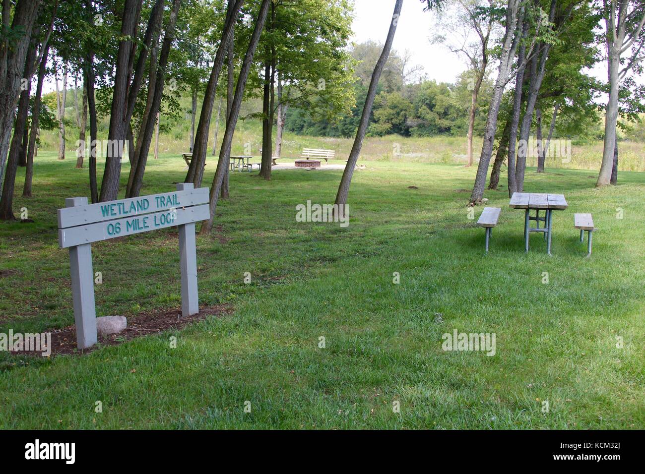 The beautiful landscapes and the beauty of nature in the parks in ...