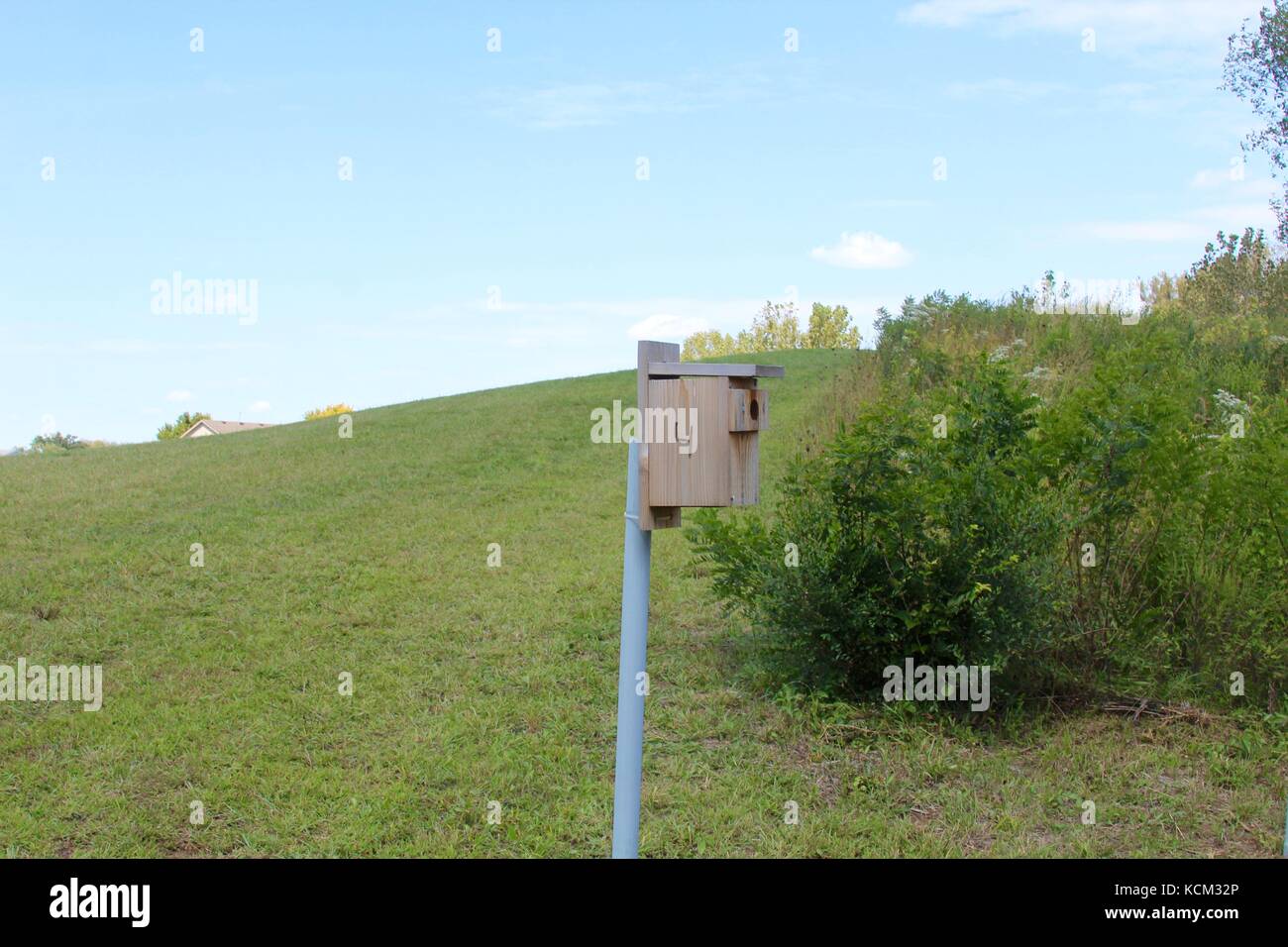 The beautiful landscapes and the beauty of nature in the parks in ...