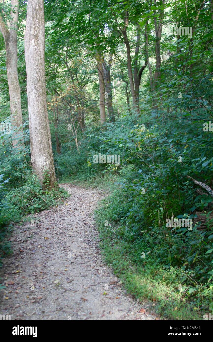 The beautiful landscapes and the beauty of nature in the parks in ...