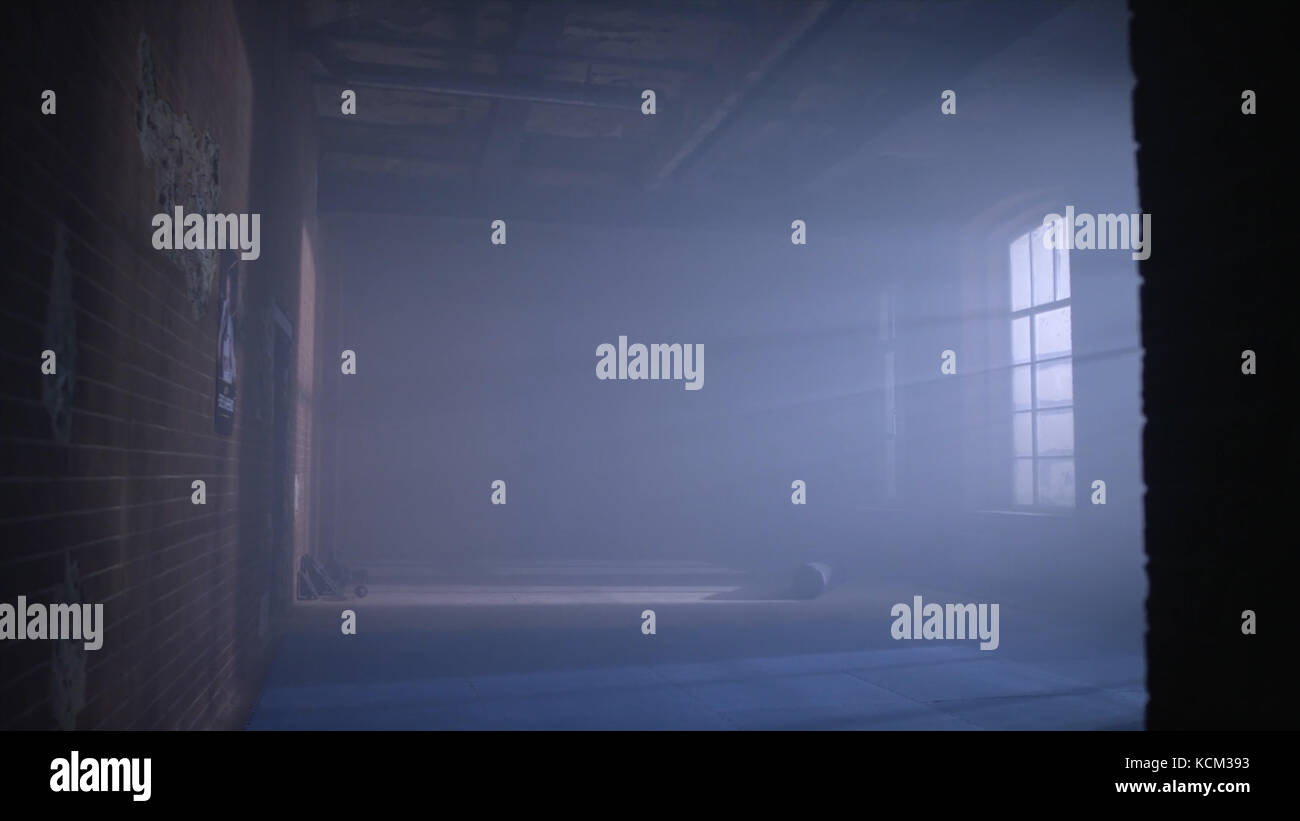 gym in the basement. Interior of a boxing hall in loft style. Empty ...