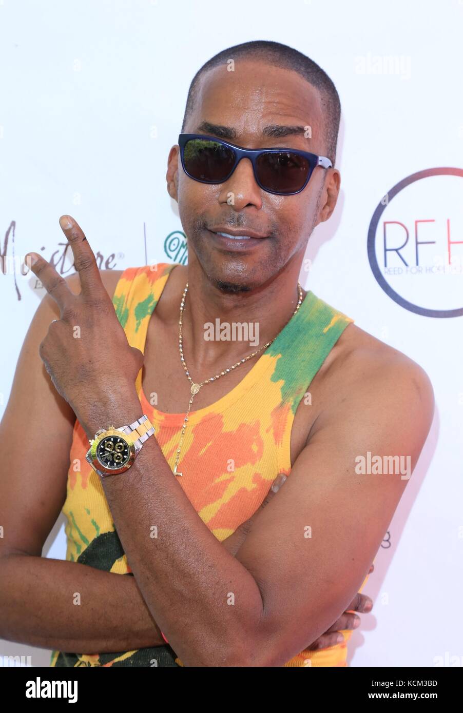 Robi Reed's 14th Sunshine Beyond Summer Celebration - Arrivals ...