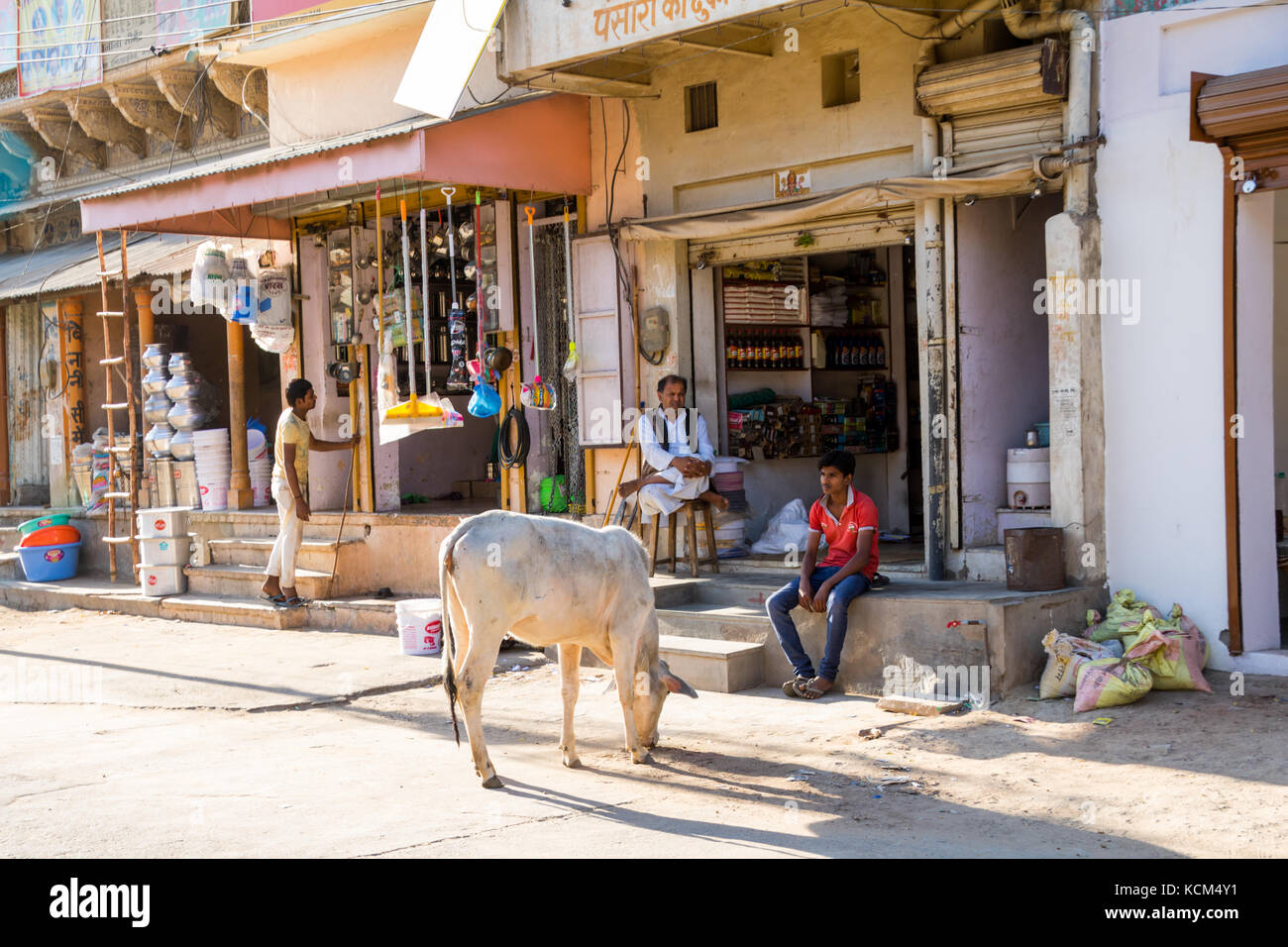 Daily life in Mandawa, India - a street scene showing shops and cow in ...
