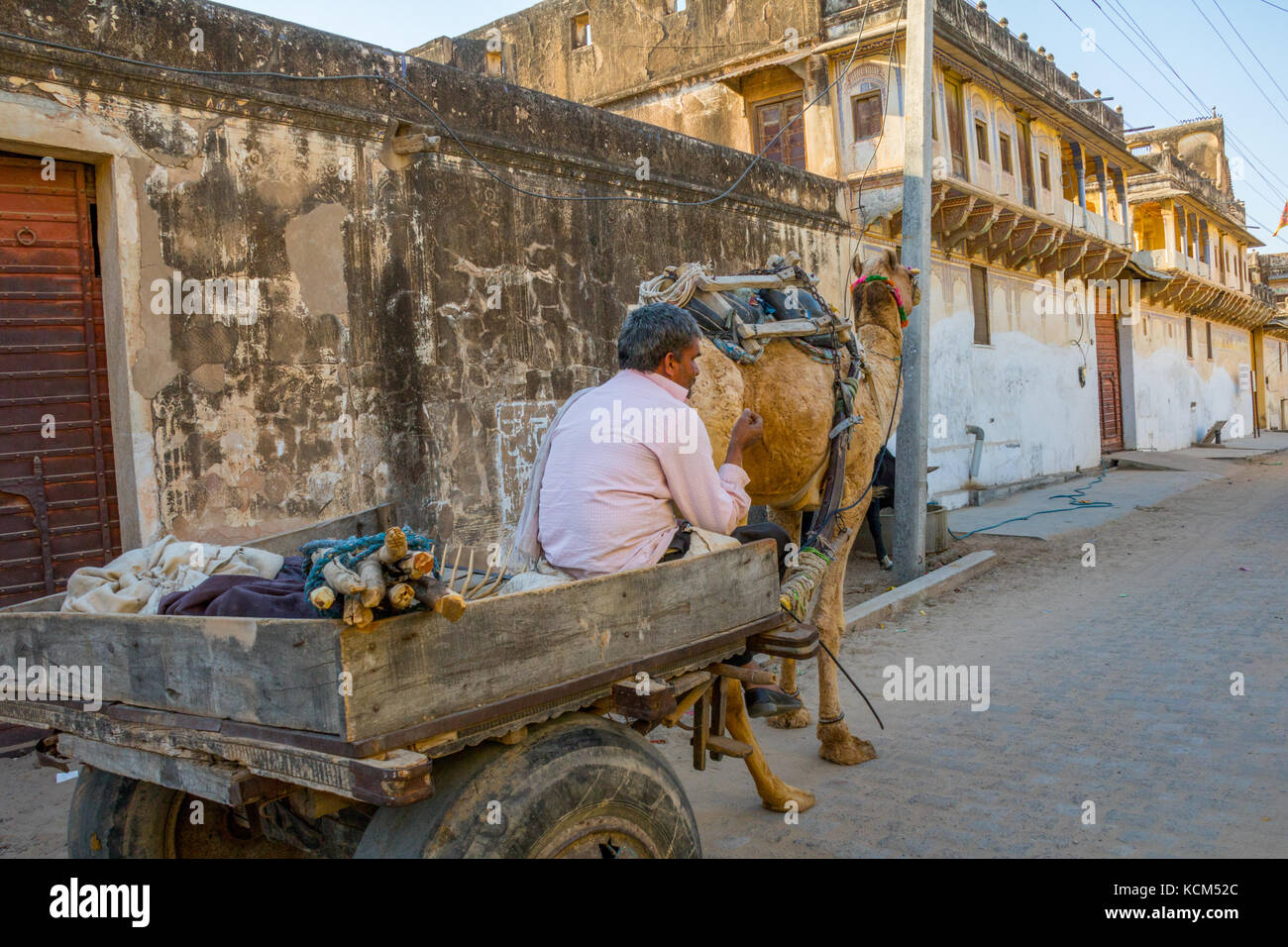 Man riding a cart pulled by a camel Stock Photo - Alamy