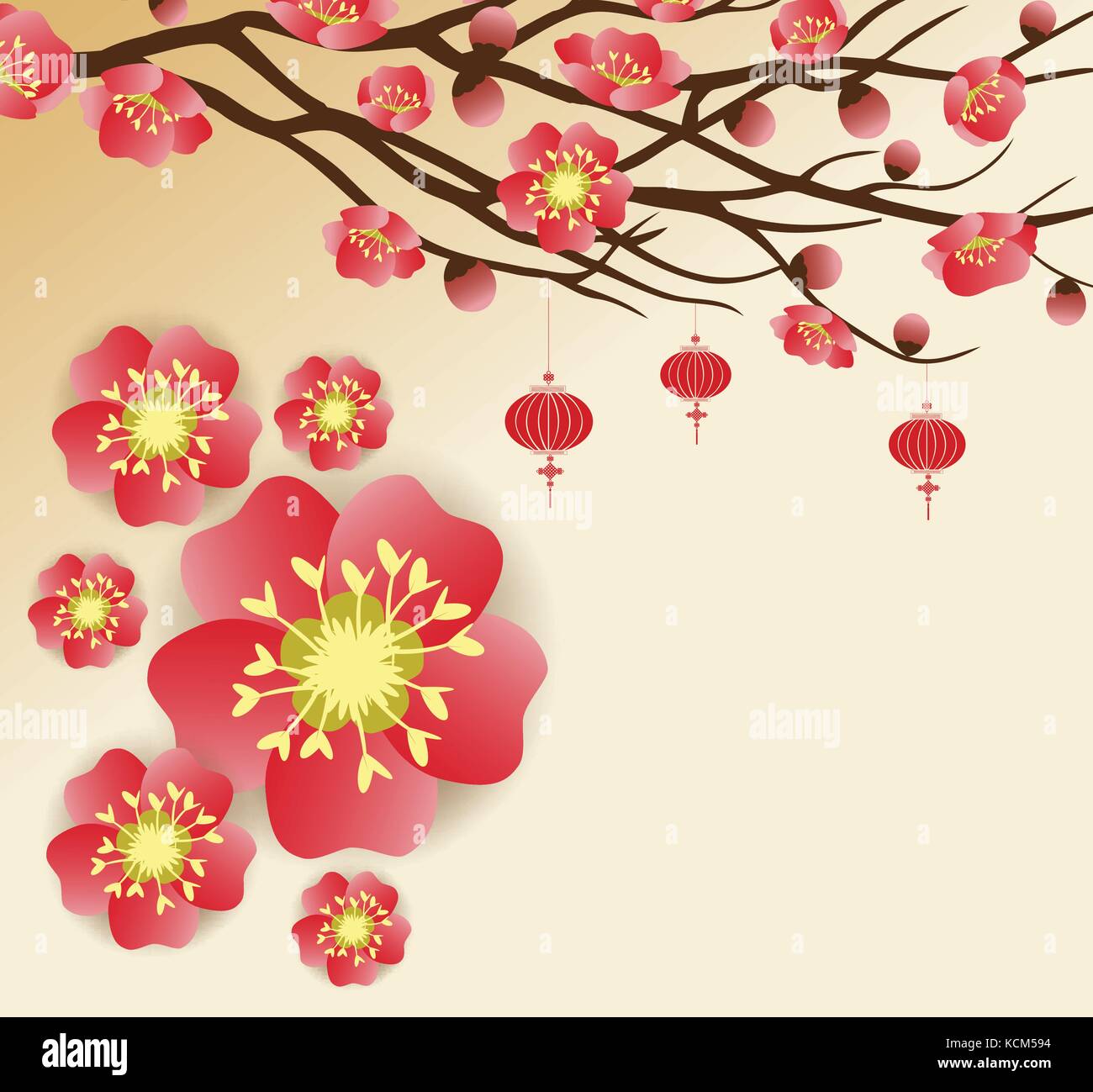 Chinese new year background blooming sakura branches Stock Vector Image ...