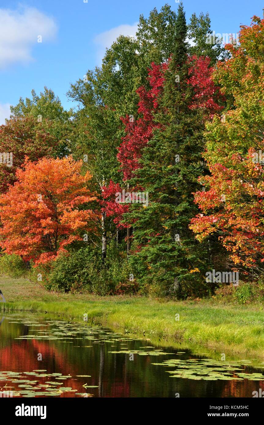 Spectacular fall nature landscape in Muskoka, Ontario, Canada Stock ...