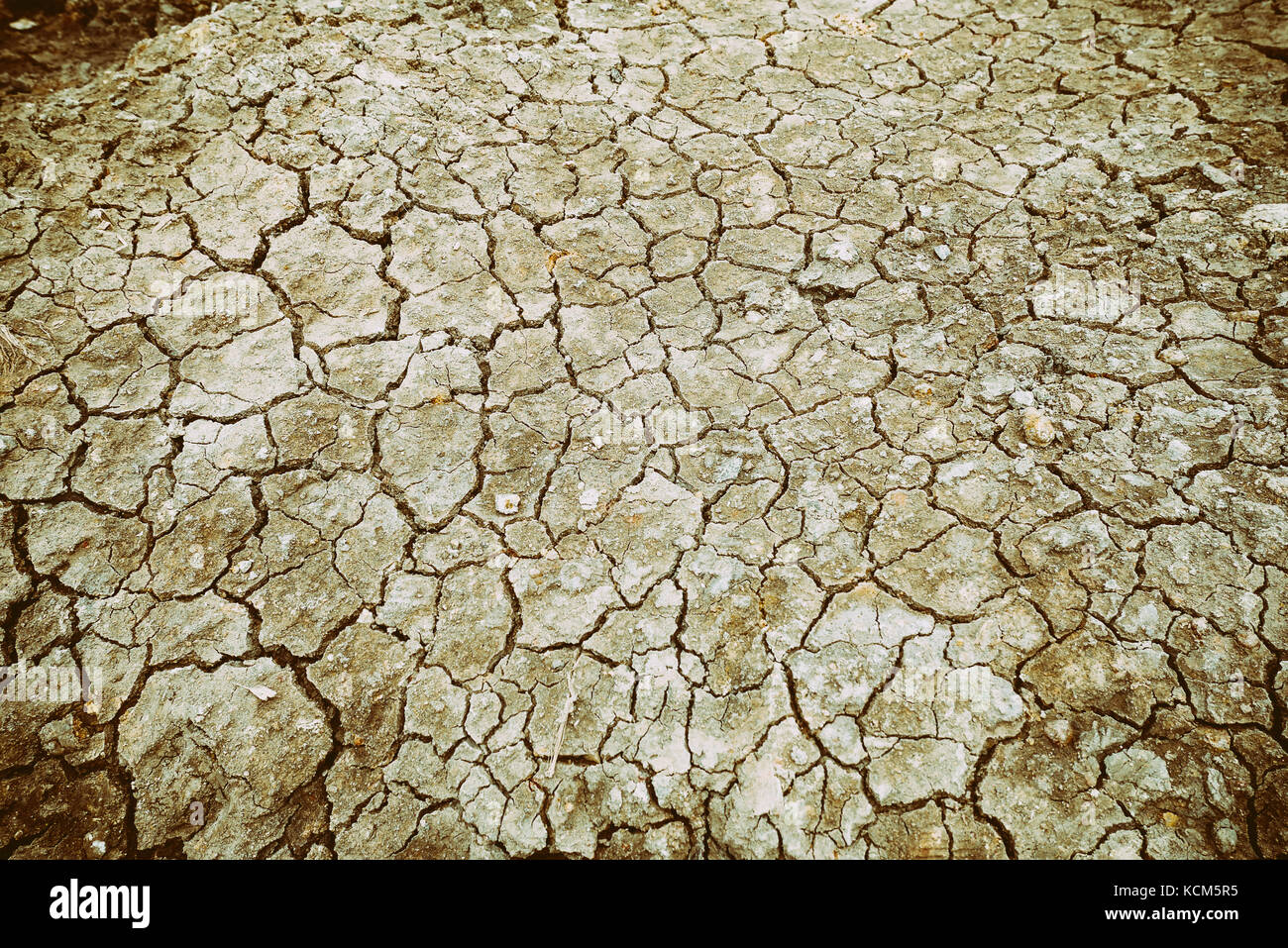 dried and cracked ground soil texture Stock Photo - Alamy