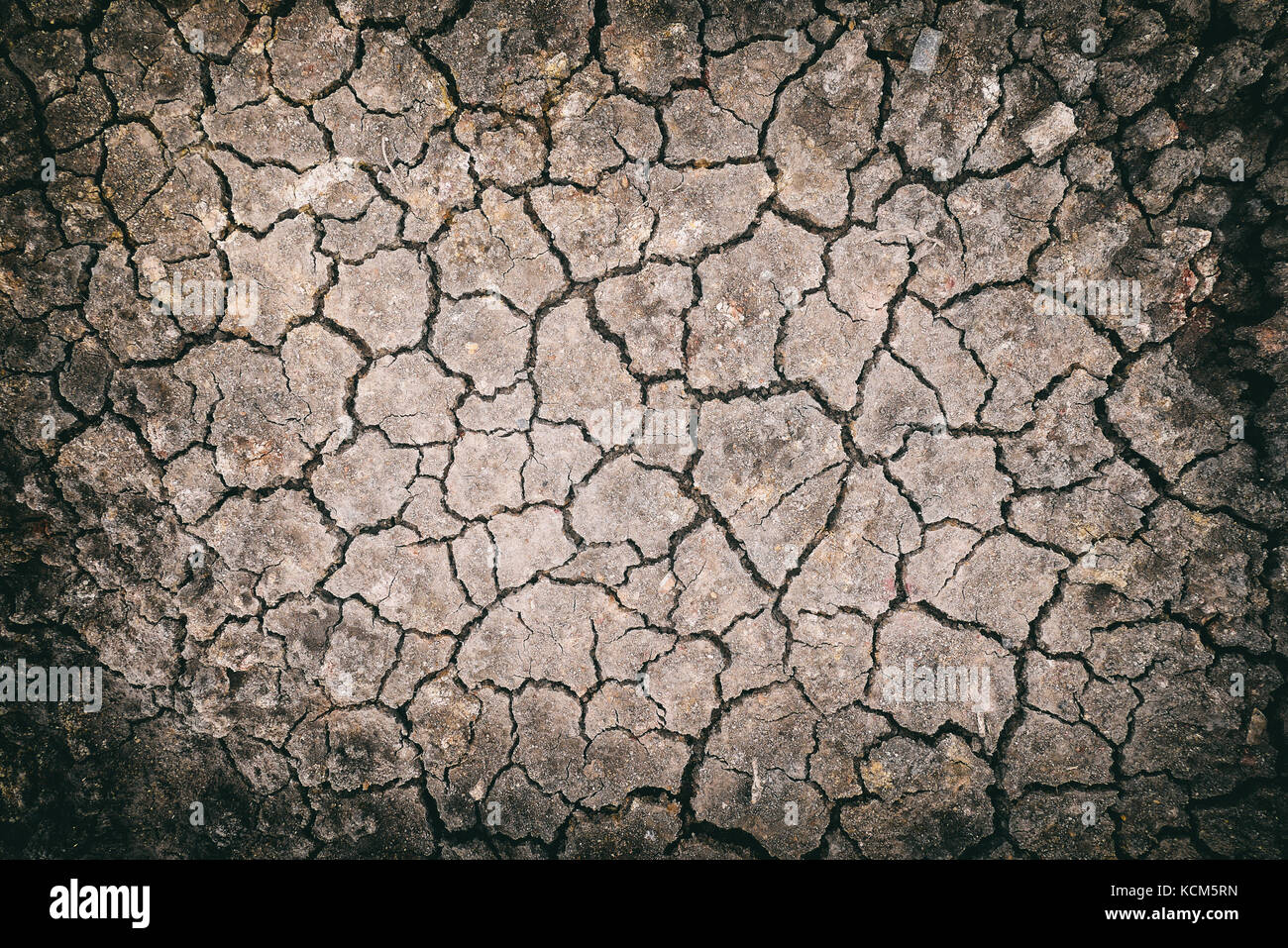 dried and cracked ground soil texture Stock Photo - Alamy