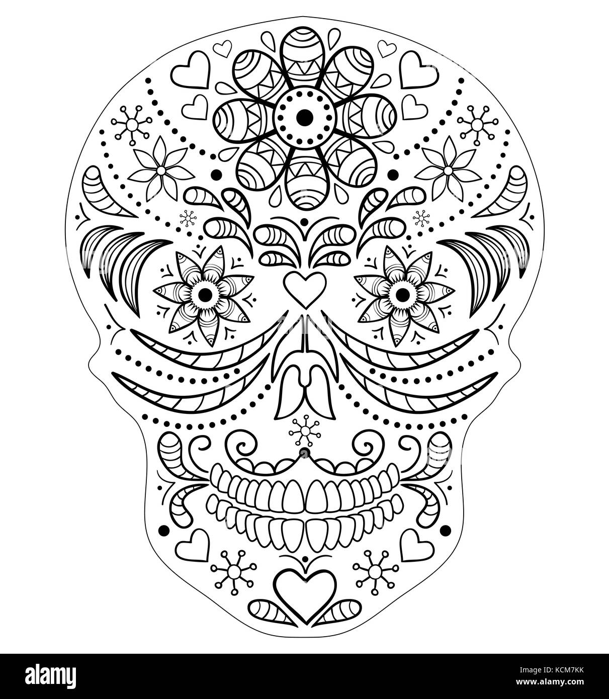 Hand drawn skull Stock Vector Image & Art - Alamy