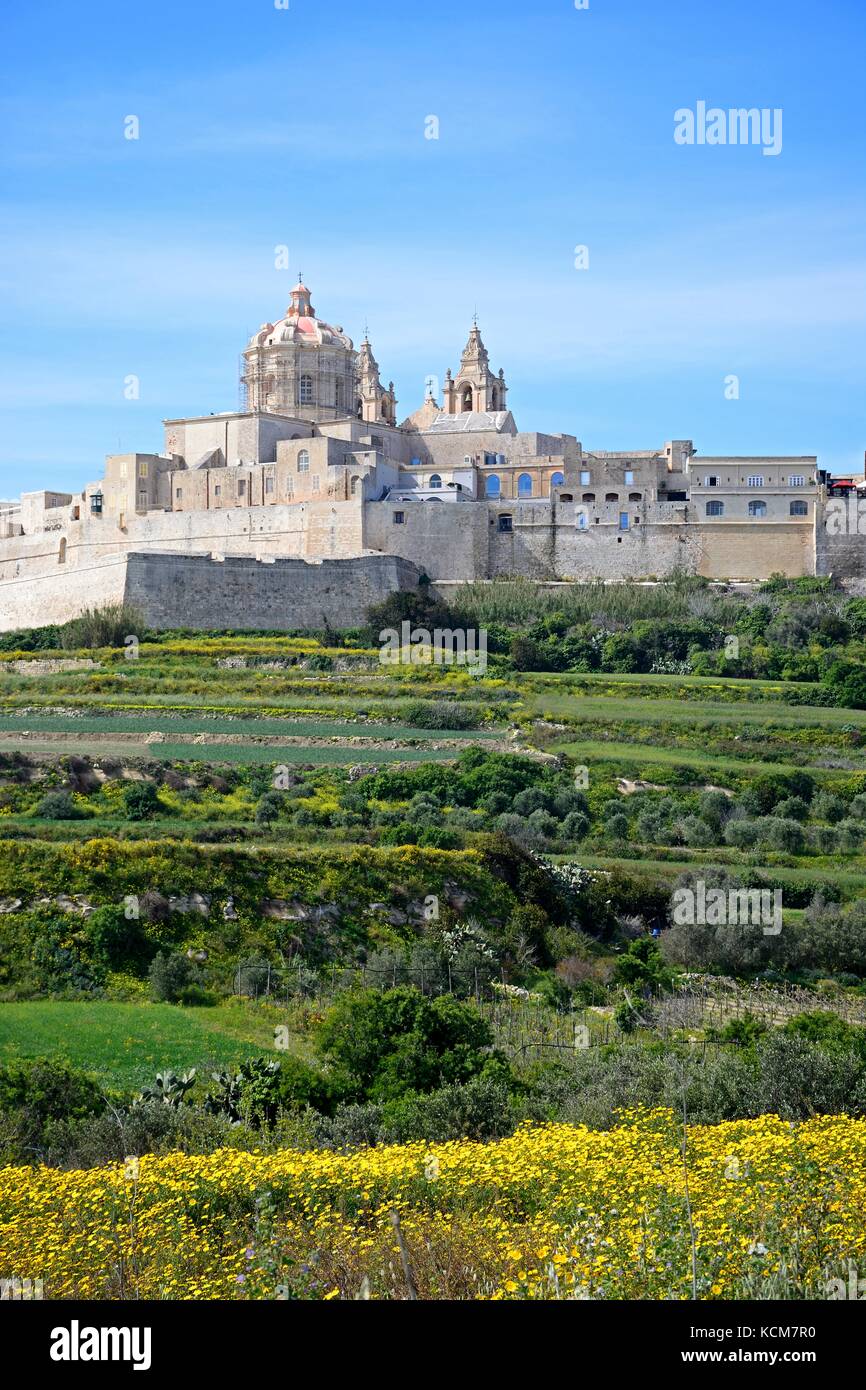Spring flowers in malta hi-res stock photography and images - Alamy
