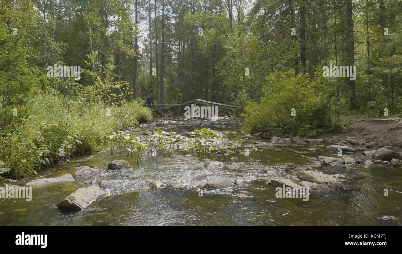 Landscape with forest and a river in front. Beautiful scenery. River in ...