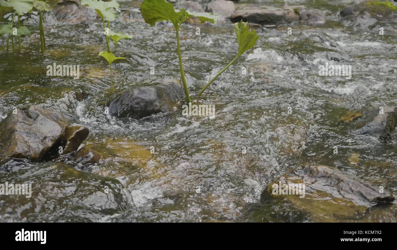 Water splash in river. Water in river close up with bubbles. Water ...