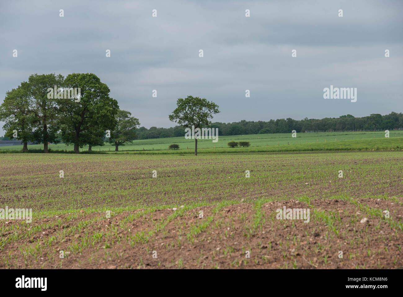 English Farming Landscape Stock Photo - Alamy