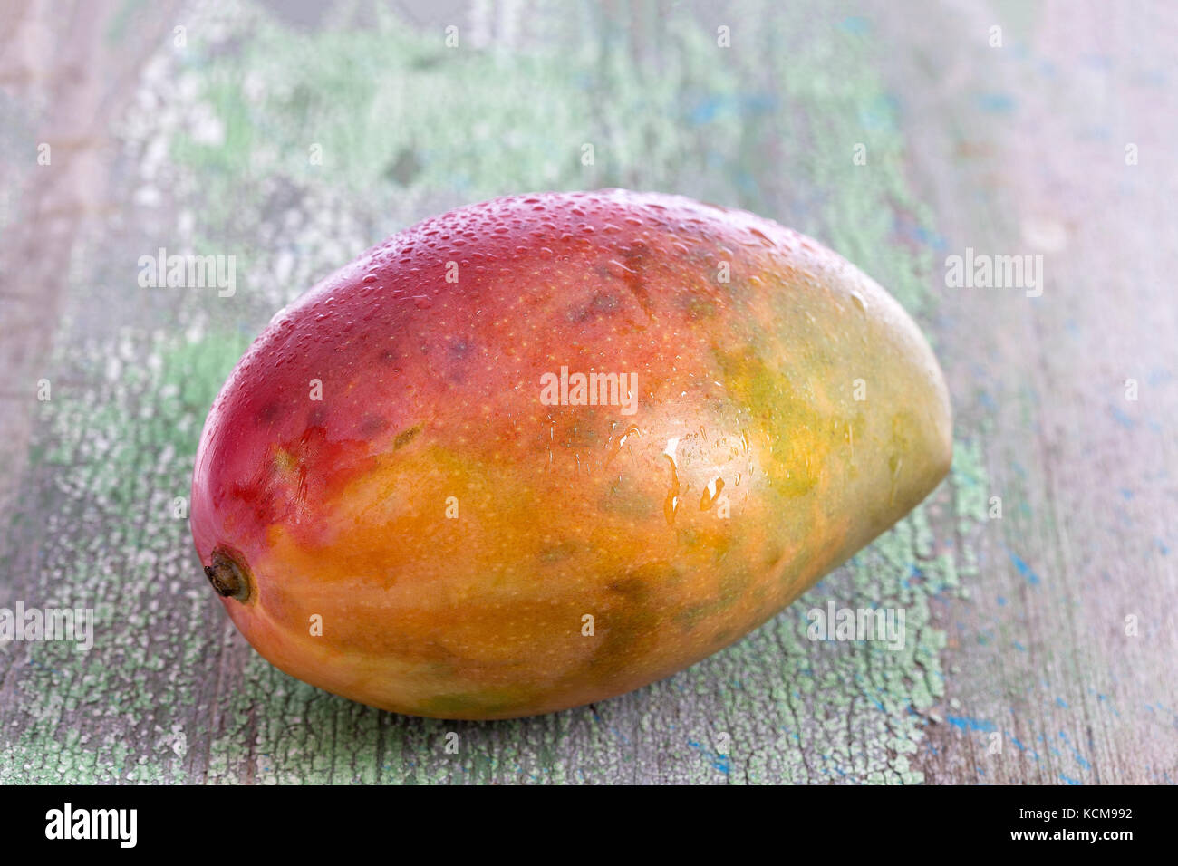 Whole Ripe Green Red Mango with drop of water, isolated on old vintage ...
