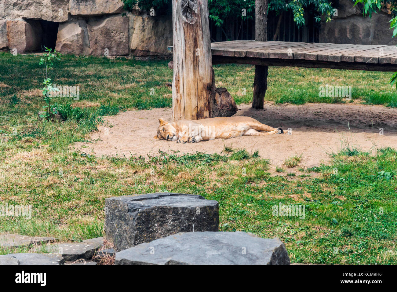 Prague Zoo, Troja, Czech Republic Stock Photo - Alamy