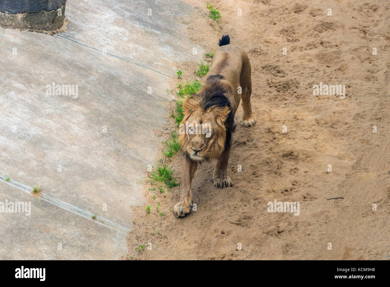 Prague Zoo, Troja, Czech Republic Stock Photo - Alamy