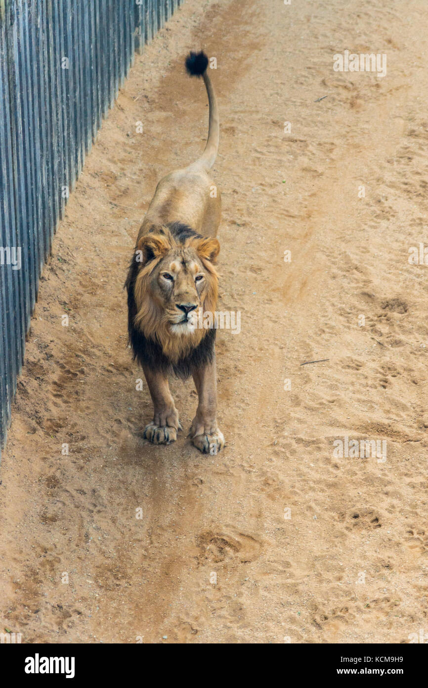 Zoo capital hi-res stock photography and images - Alamy