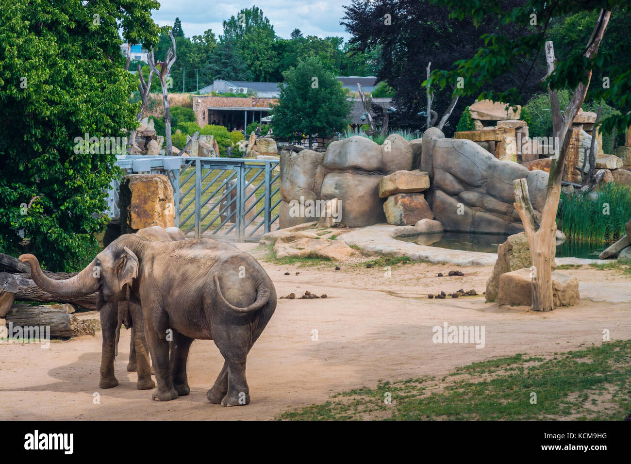 Prague Zoo, Troja, Czech Republic Stock Photo - Alamy