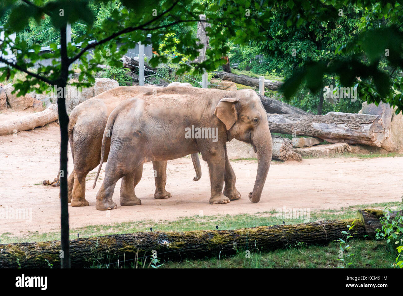 Prague Zoo, Troja, Czech Republic Stock Photo - Alamy