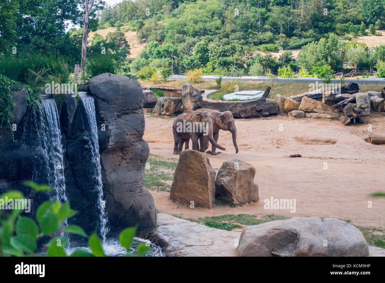 Prague Zoo, Troja, Czech Republic Stock Photo - Alamy